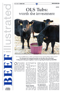 Beef Illustrated Digital Editions 2020 – Alberta Beef Magazine