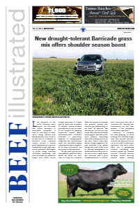 Beef Illustrated Digital Editions 2020 – Alberta Beef Magazine