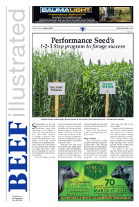 Beef Illustrated Digital Editions 2021 – Alberta Beef Magazine