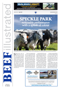 Beef Illustrated Digital Editions 2021 – Alberta Beef Magazine