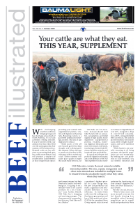 Beef Illustrated Digital Editions 2021 – Alberta Beef Magazine