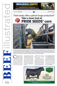 Beef Illustrated Digital Editions 2022 – Alberta Beef Magazine